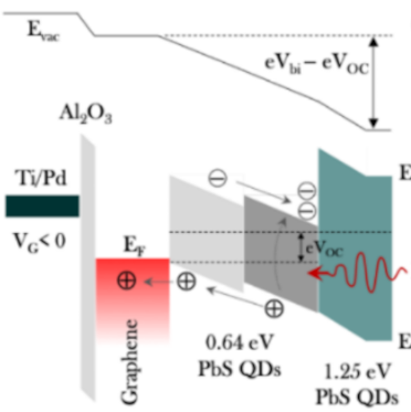 Broadband, high responsivity, fast graphene-quantum dot photodetectors ...
