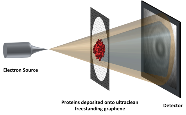 Graphene sheets enable single protein snapshots – Graphenea