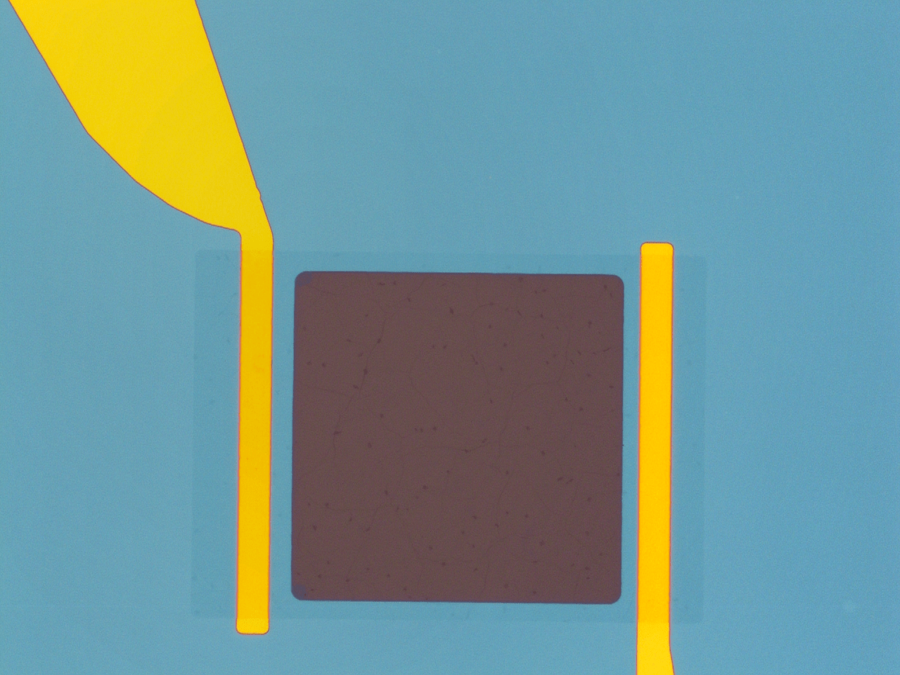 Graphene GFET-S10 for Sensing applications – Graphenea